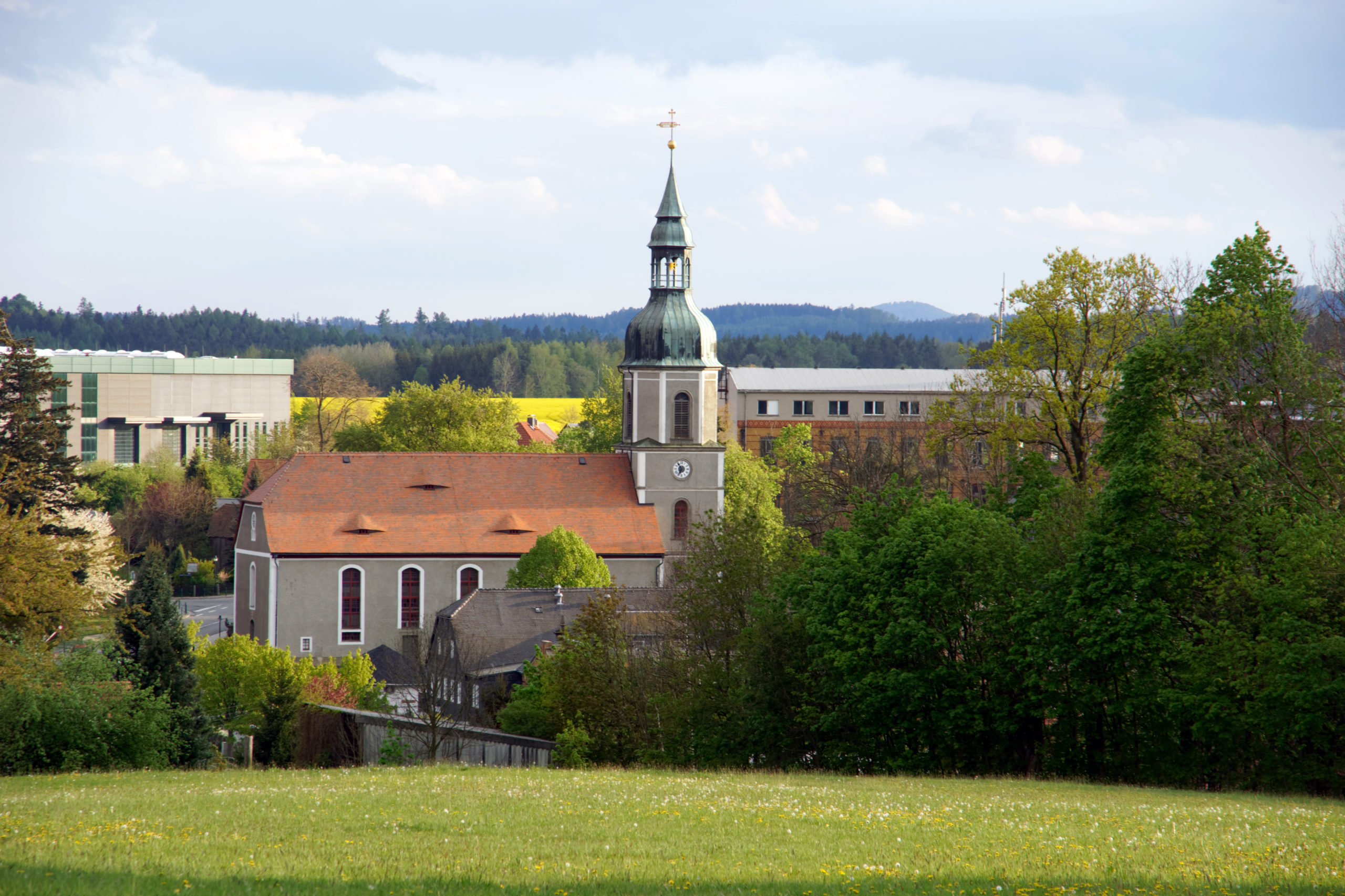 Schönbach mit Kirche und Rapsfeld – Wiesensafari