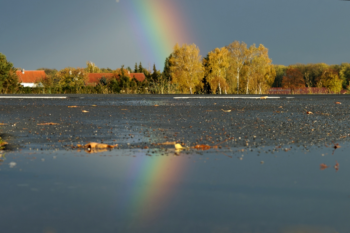 Regenbogen in der Pfütze – Wiesensafari
